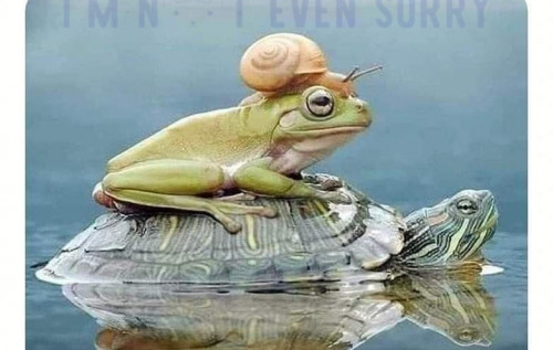 Підбірка блогожаб та фотоприколів від UAINFO за 13 листопада