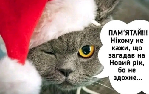 Підбірка блогожаб та фотоприколів від UAINFO за 13 грудня