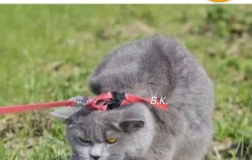 Підбірка блогожаб та фотоприколів від UAINFO за 4 вересня